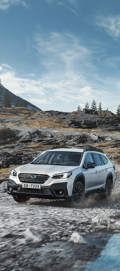 Red de concesionarios oficiales en Madrid